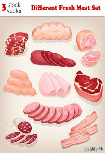 دانلود مجموعه وکتور Different Fresh Meat Set