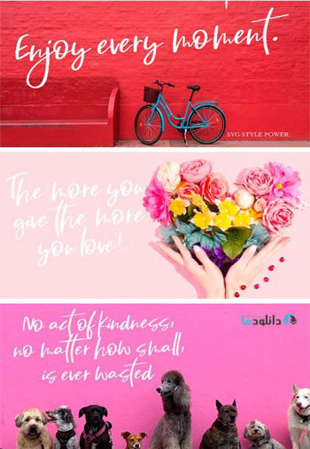 دانلود مجموعه فونت انگلیسی Style Power Typeface Font Family